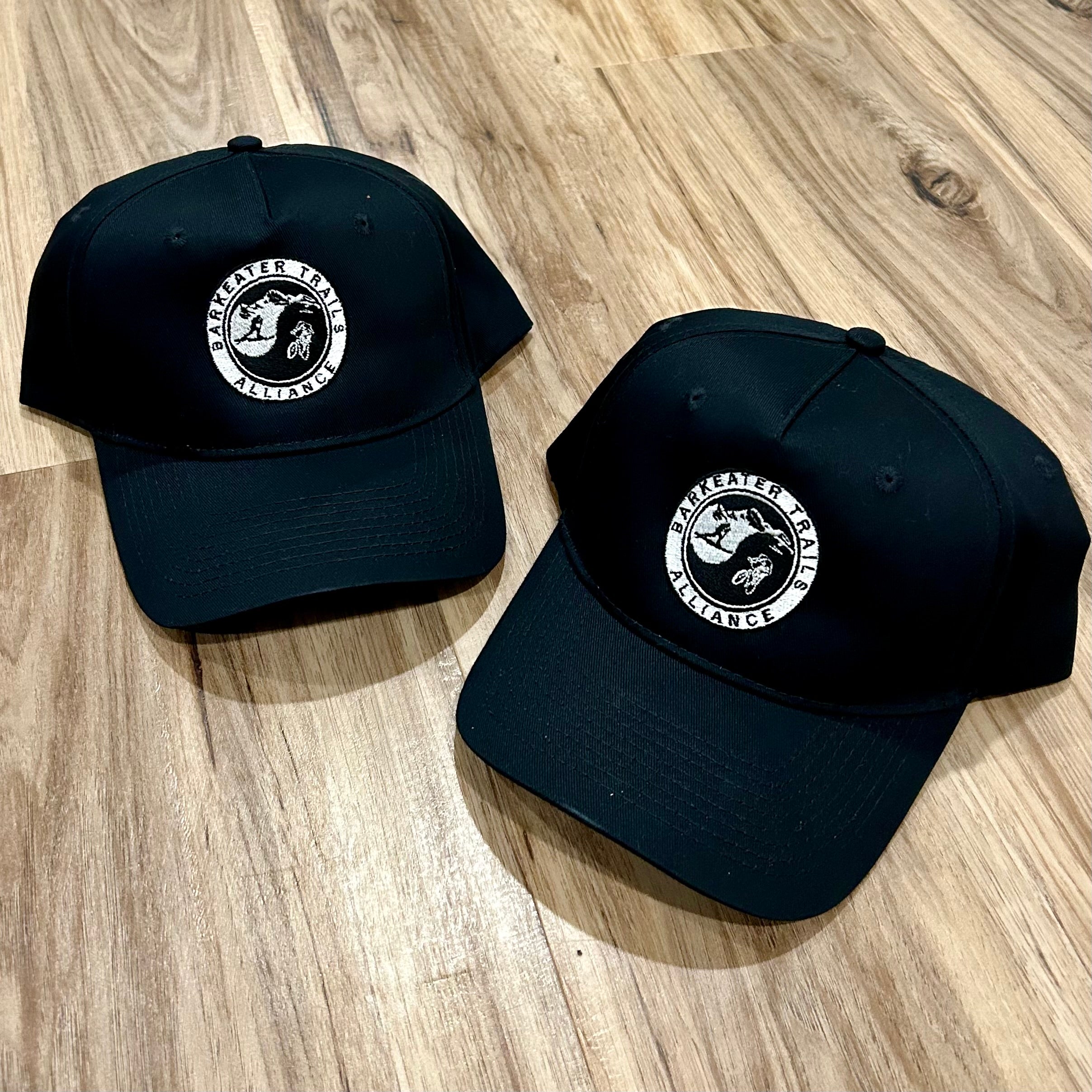 BETA Cap | Shop Bike Adirondacks